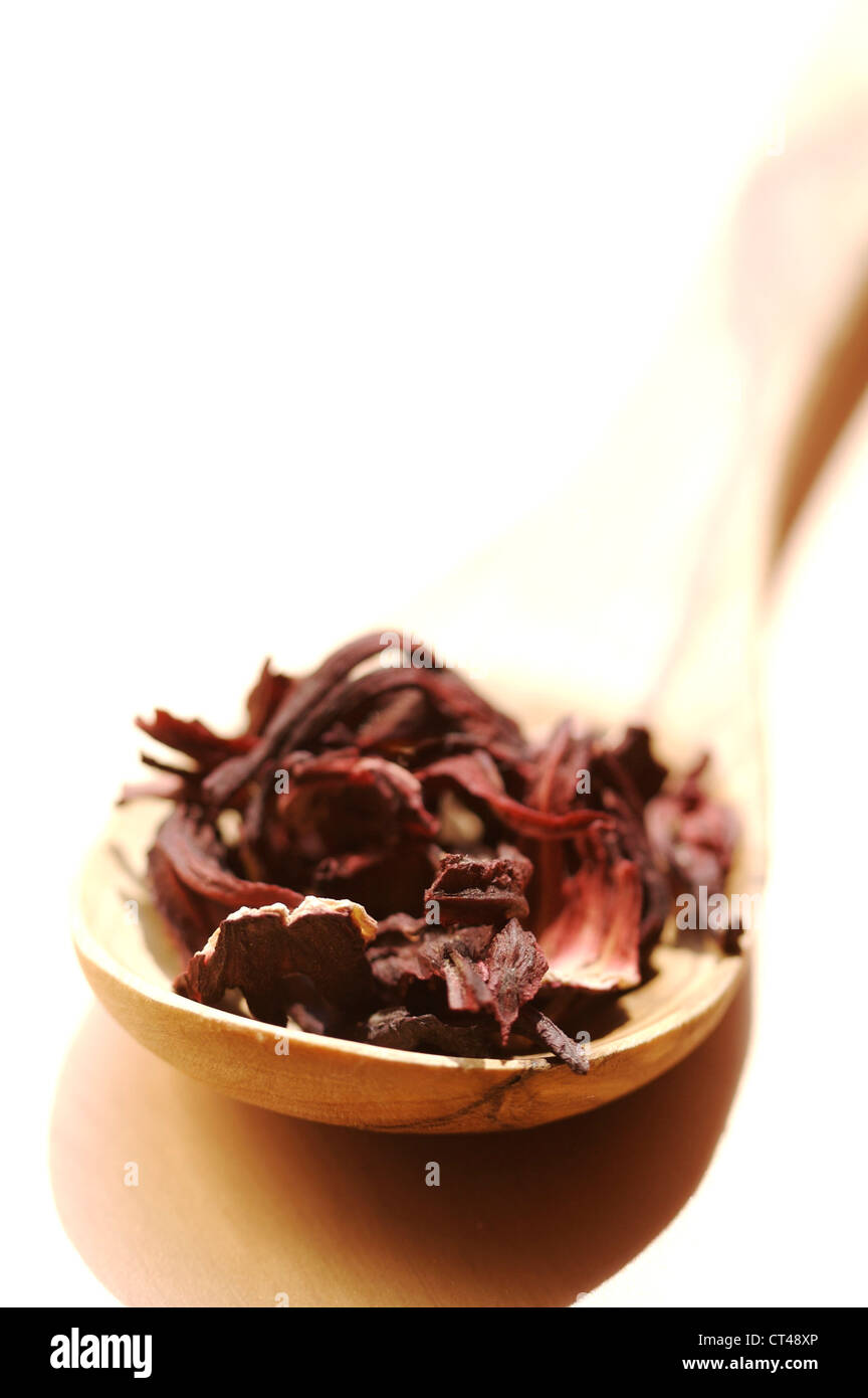 Roselle plants hi-res stock photography and images - Alamy