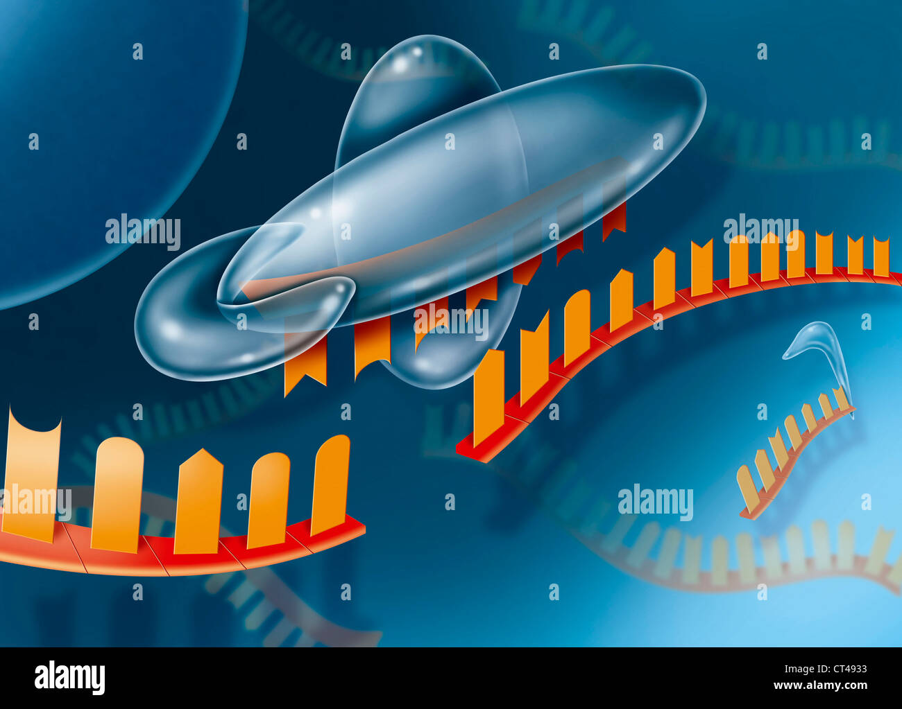 Rna Interference Stock Photos & Rna Interference Stock Images - Alamy