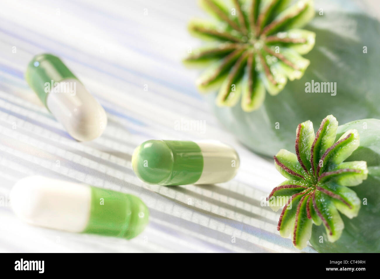 Lamaline hi-res stock photography and images - Alamy