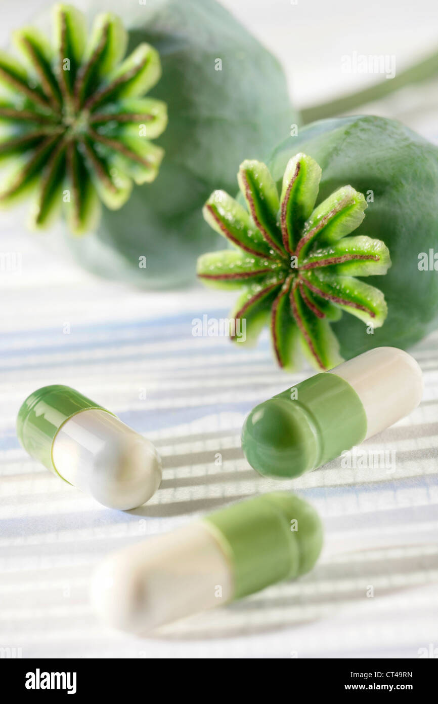 Lamaline hi-res stock photography and images - Alamy