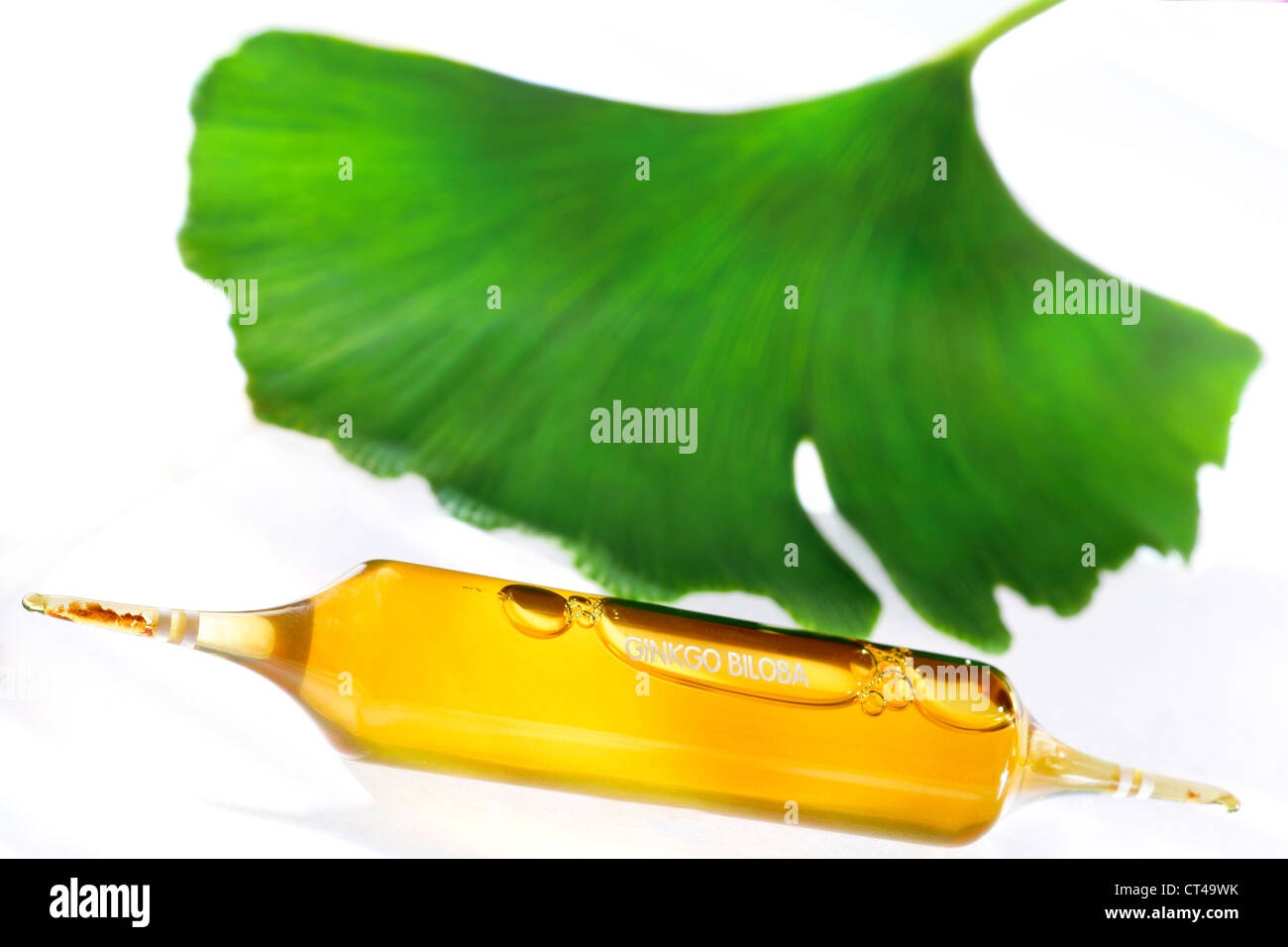 Ginkgo biloba drug hi-res stock photography and images - Alamy