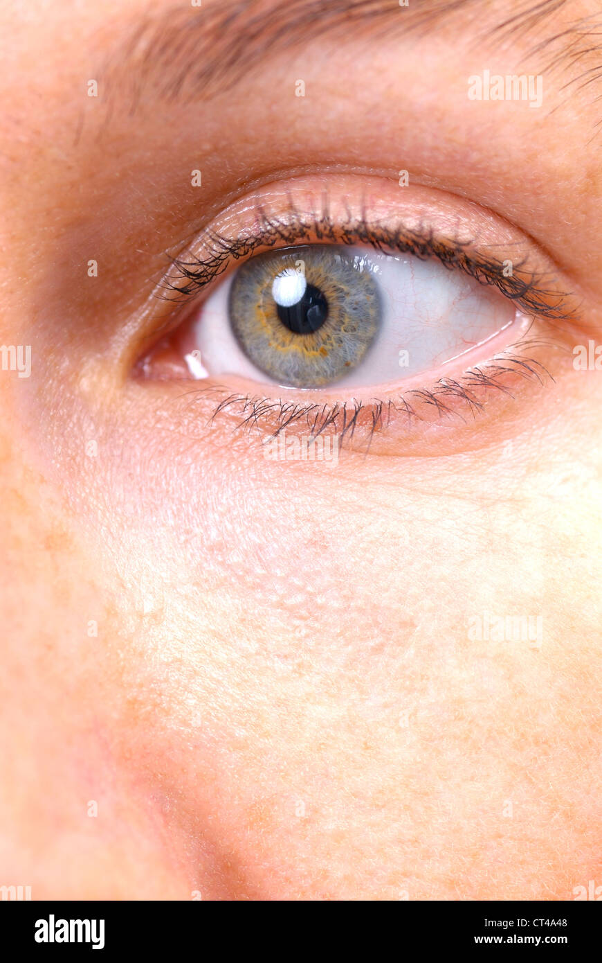 See seeing look looking view viewing visual eyes eyesight hi-res stock ...