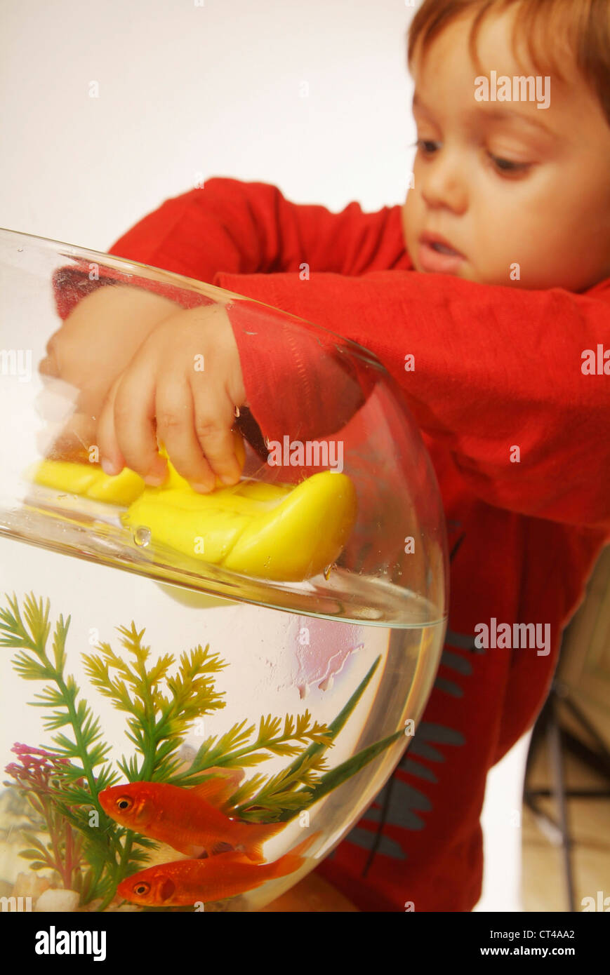 Child goldfish bowl hi-res stock photography and images - Alamy