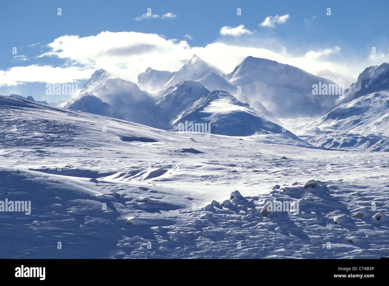 Tsang cho hi-res stock photography and images - Alamy