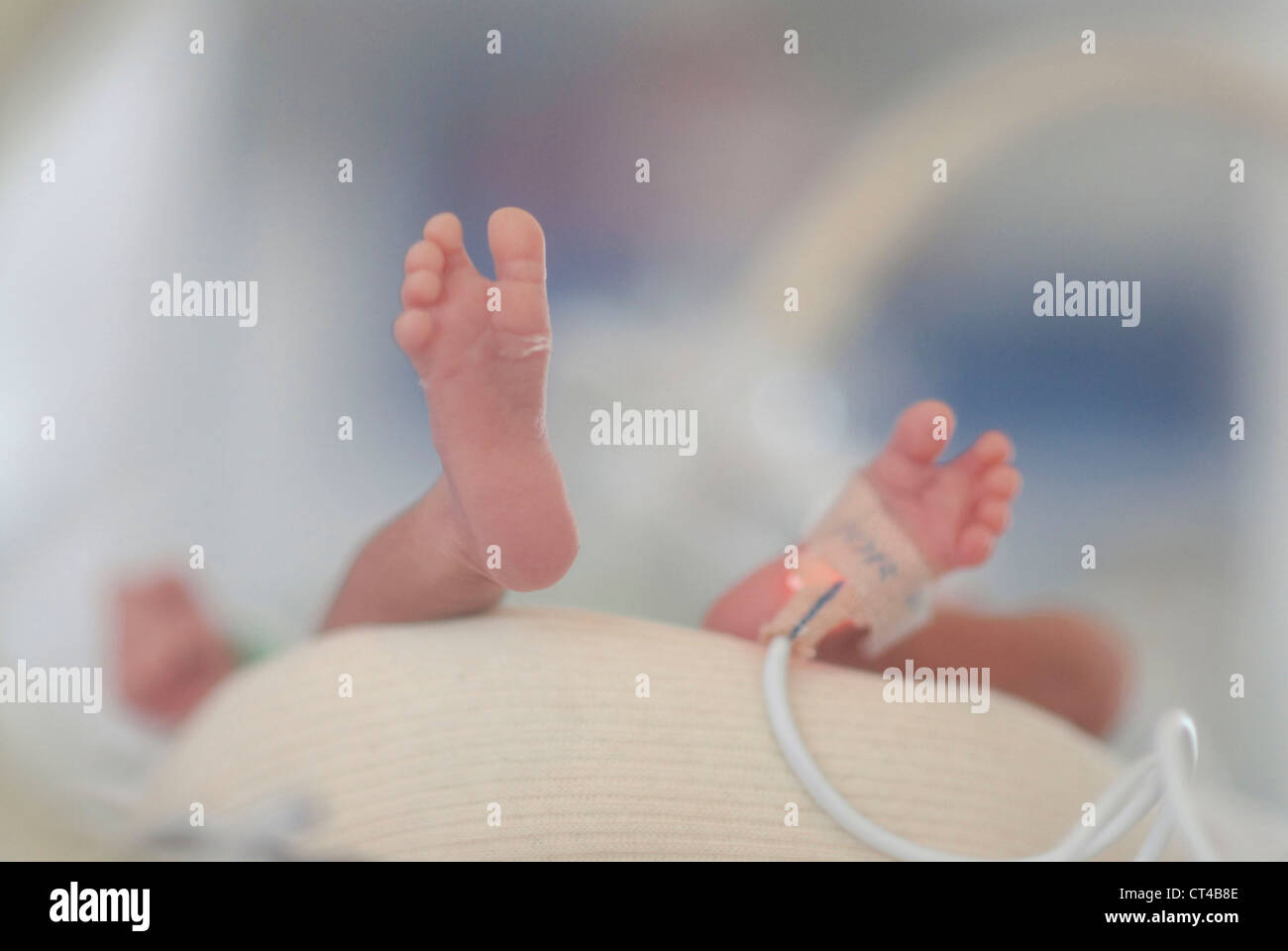 Premature baby feet hi-res stock photography and images - Alamy