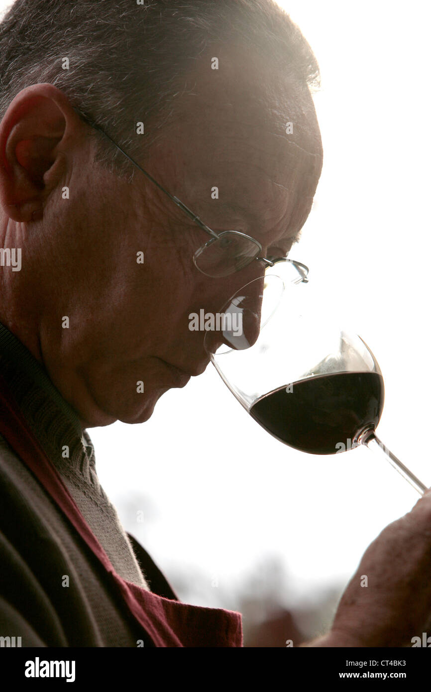 Enologists hi-res stock photography and images - Alamy