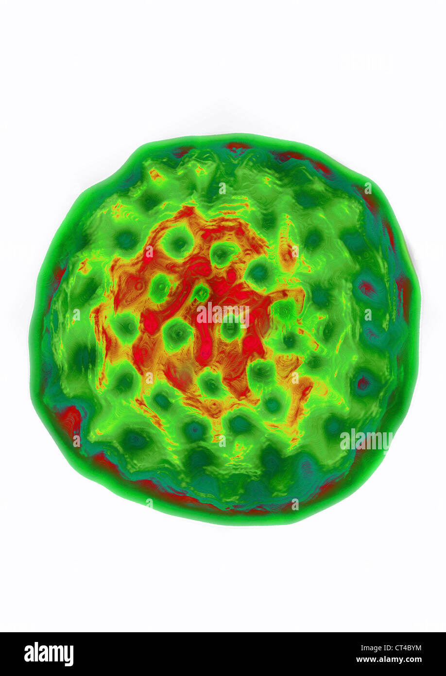 Reoviridae hi-res stock photography and images - Alamy