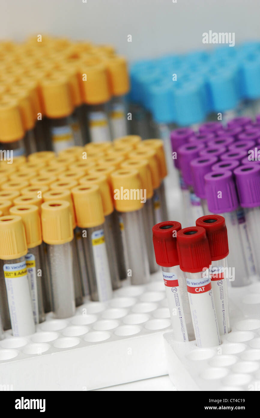 Detailed specimens hi-res stock photography and images - Alamy