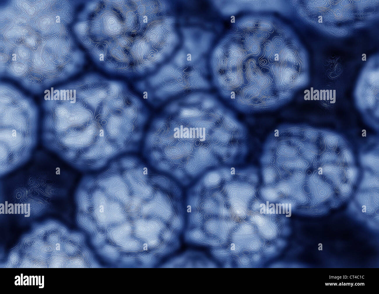 Picornavirus High Resolution Stock Photography and Images - Alamy