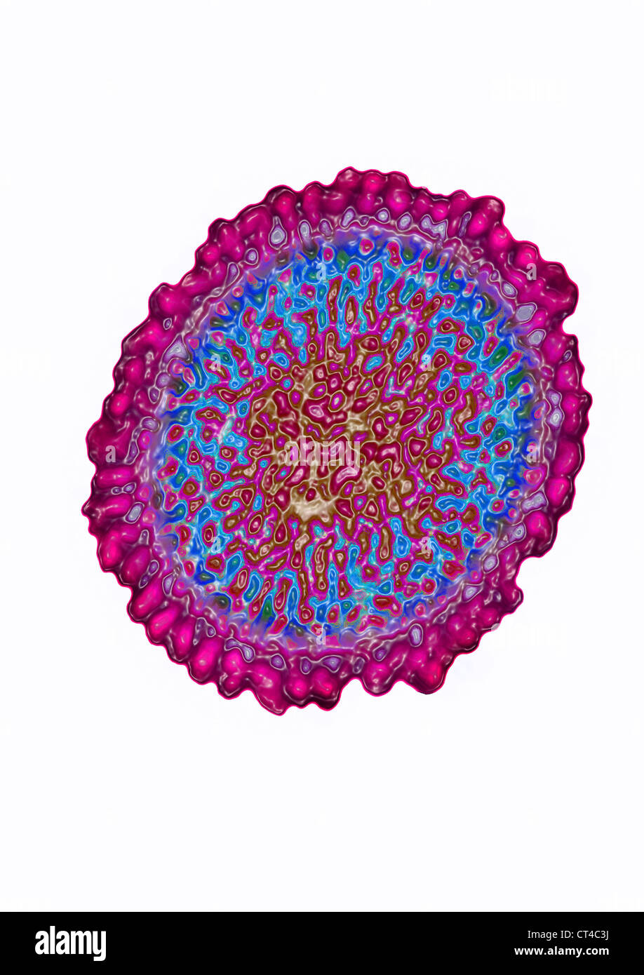 Microbes electron microscope hi-res stock photography and images - Alamy