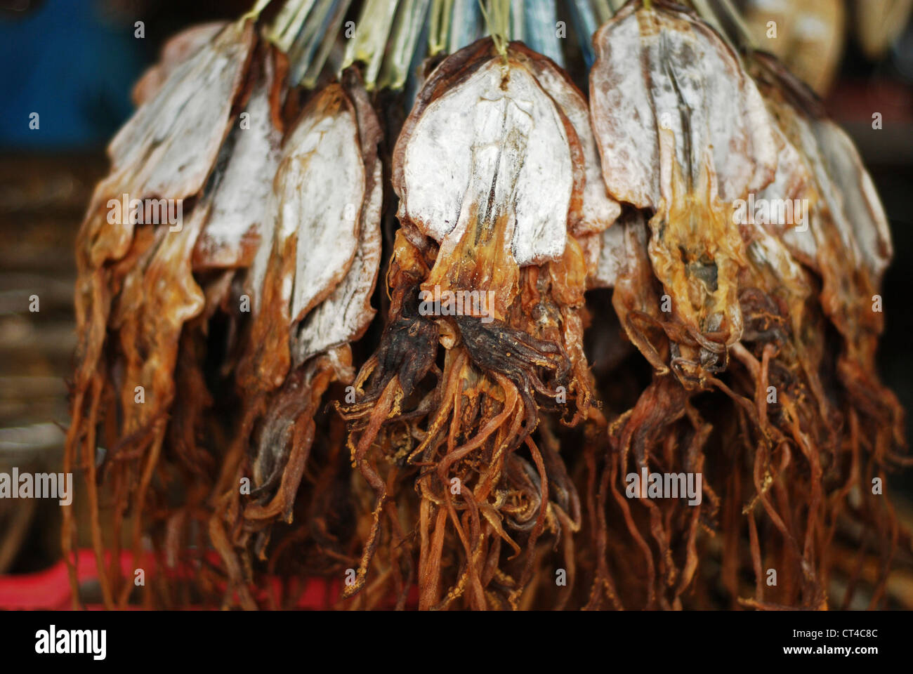 Dried octopus hi-res stock photography and images - Alamy