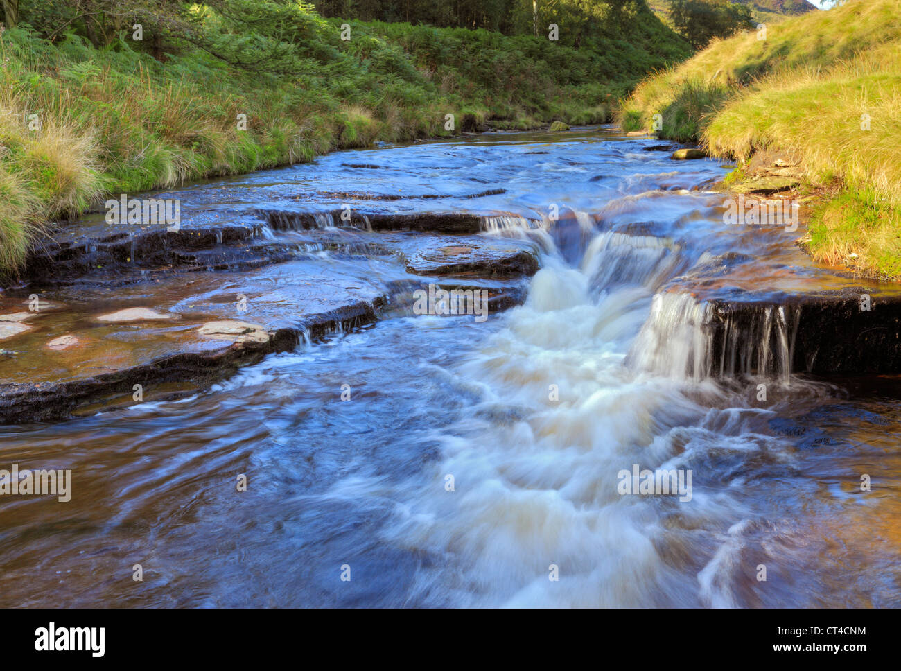 Peak district derwent river hi-res stock photography and images - Alamy