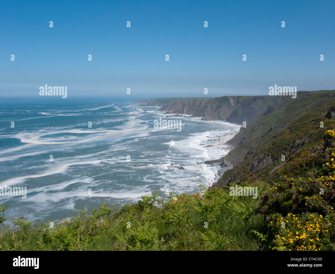 North Devon Coastline between Hartland Quay and the Cornish Border ...
