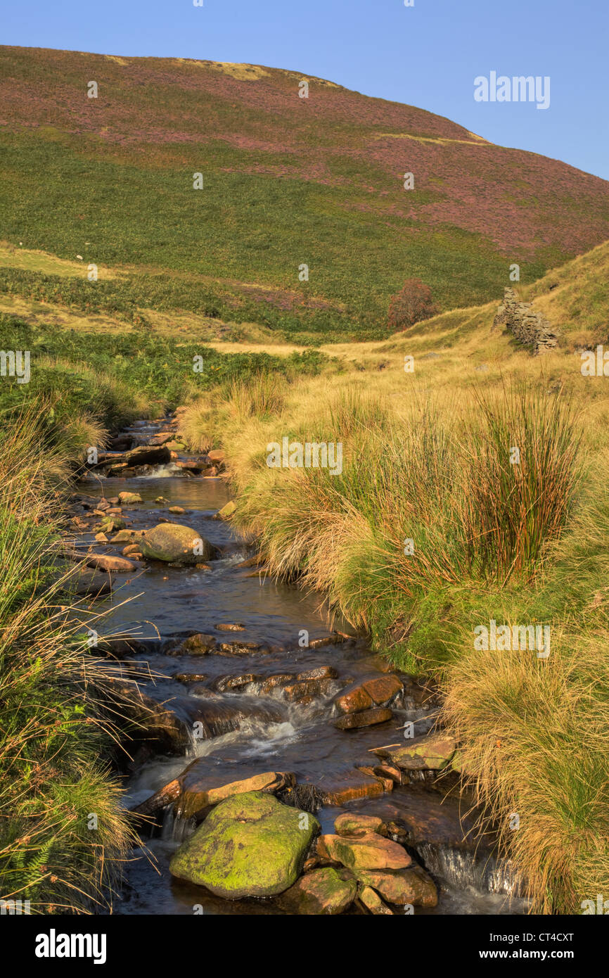 Lord Edward Howard spring, Broadhead clough, Dark Peak, Peak District ...
