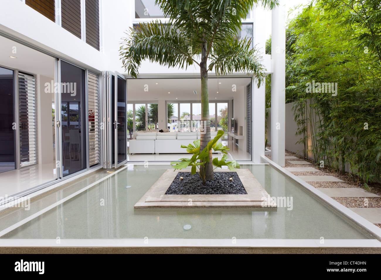 Palm tree and fountain inside luxury home Stock Photo - Alamy