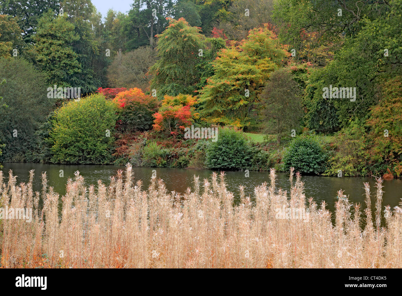 Autumn surrey landscape hi-res stock photography and images - Alamy