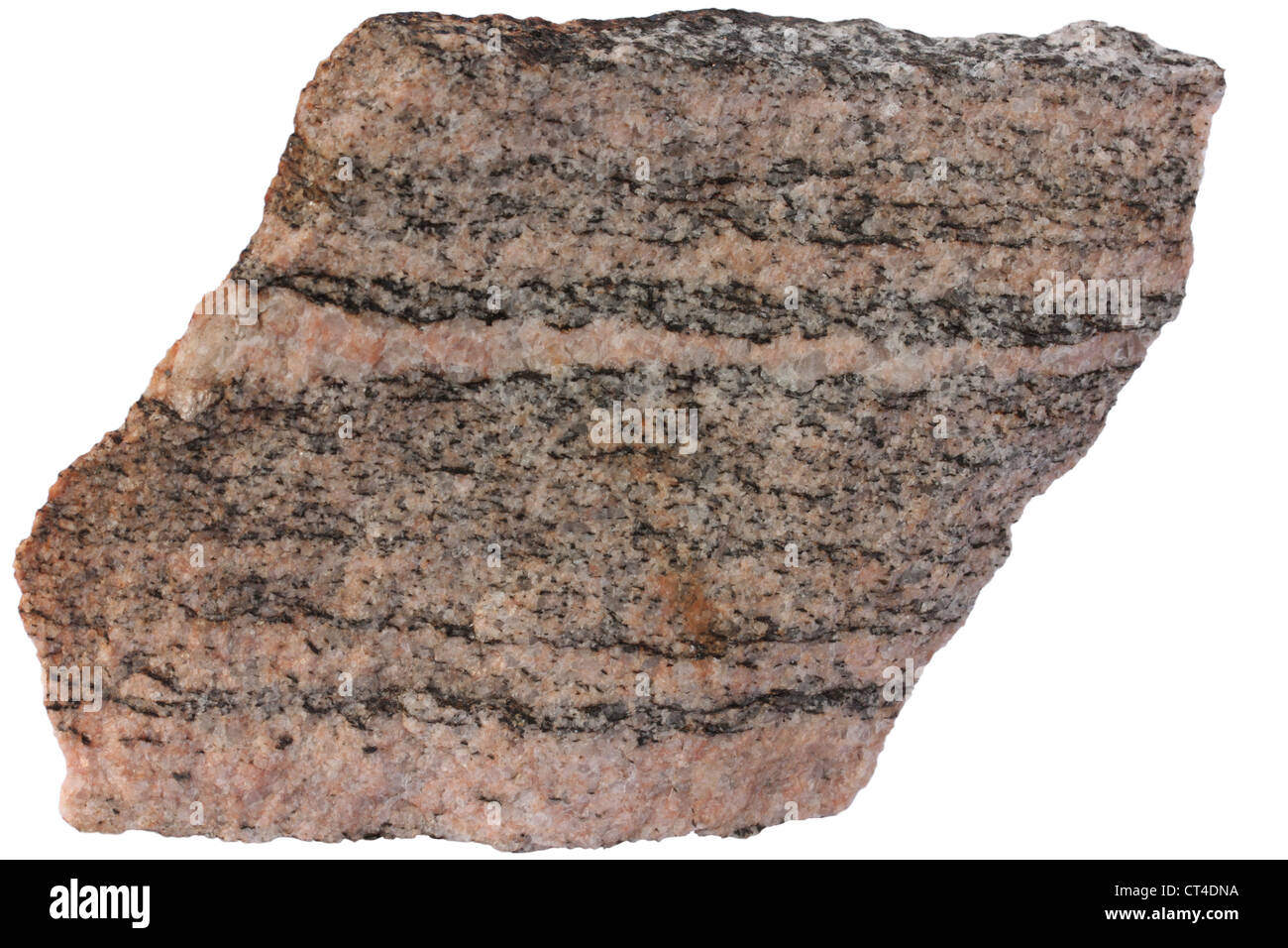 Biotite Gneiss