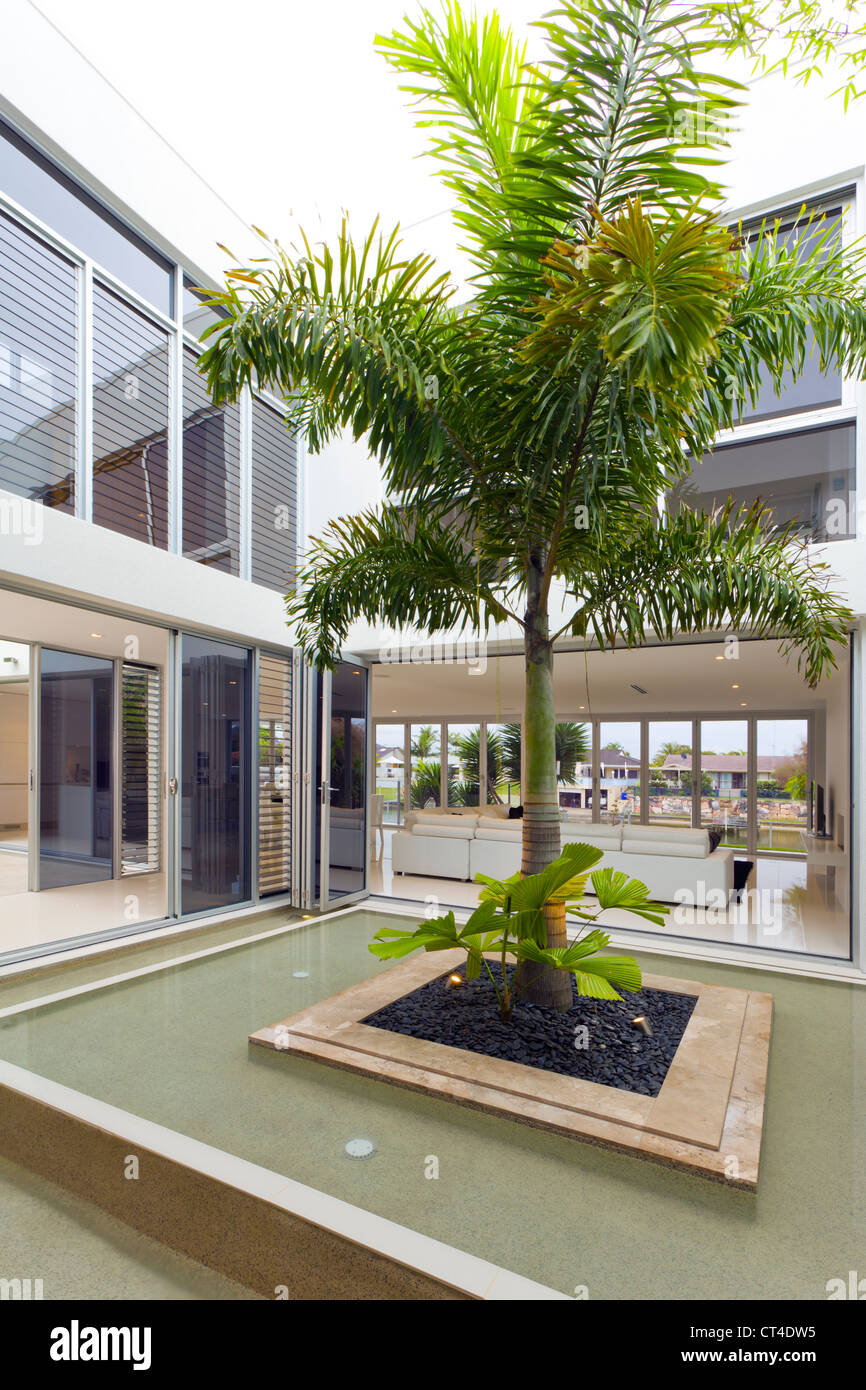 Fountain palm tree hi-res stock photography and images - Alamy