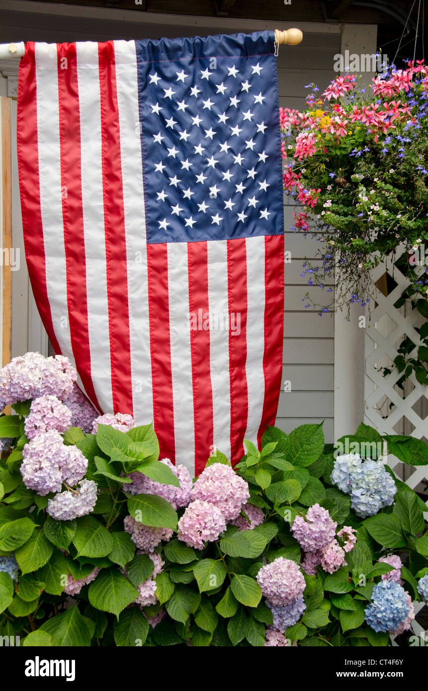 Rhode Island, Block Island. Hydrangeas with American flag Stock Photo ...