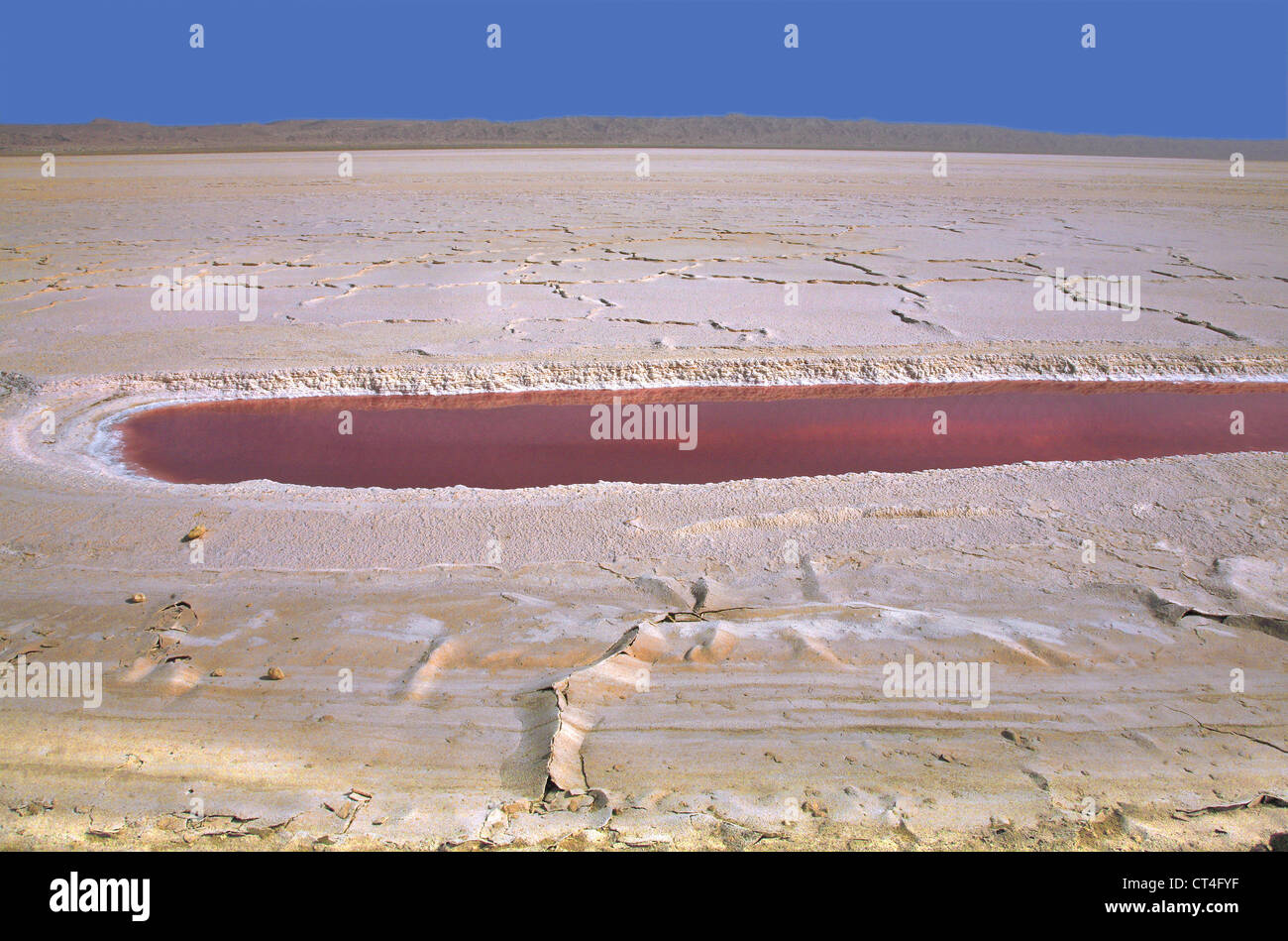 CHOTT EL JERID, TUNISIA Stock Photo - Alamy