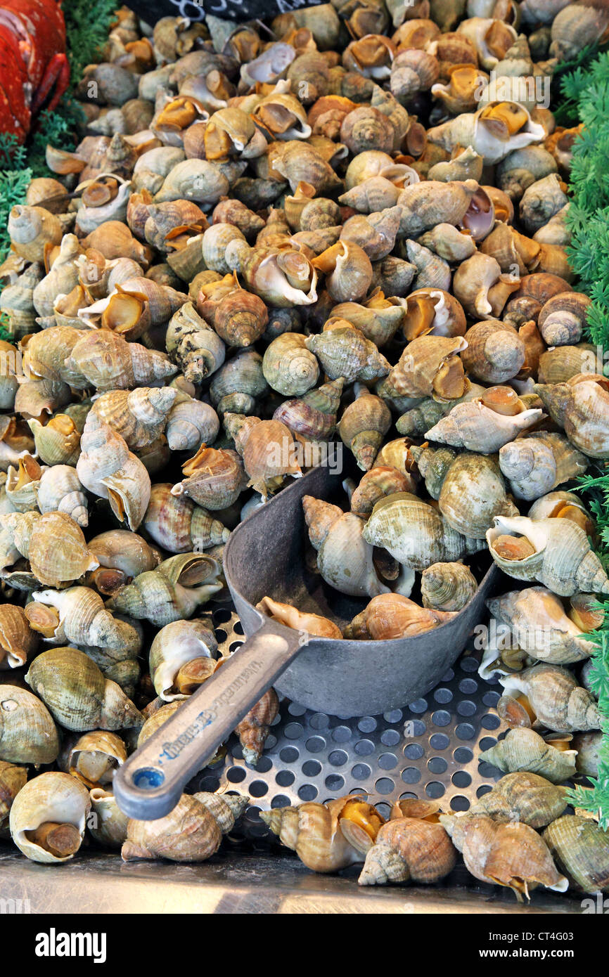 sea food market Stock Photo - Alamy