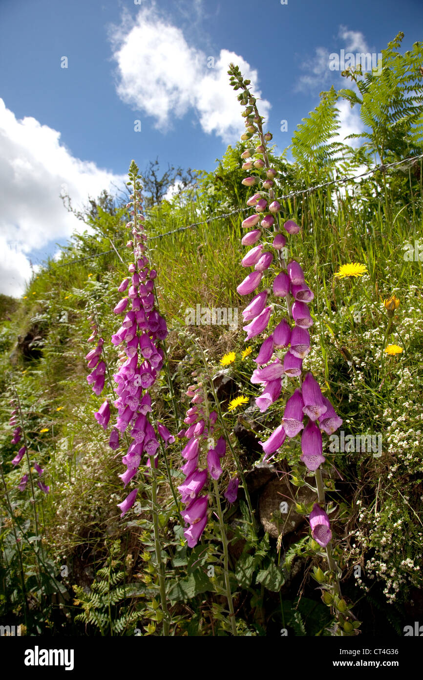 Boundary on hi-res stock photography and images - Alamy