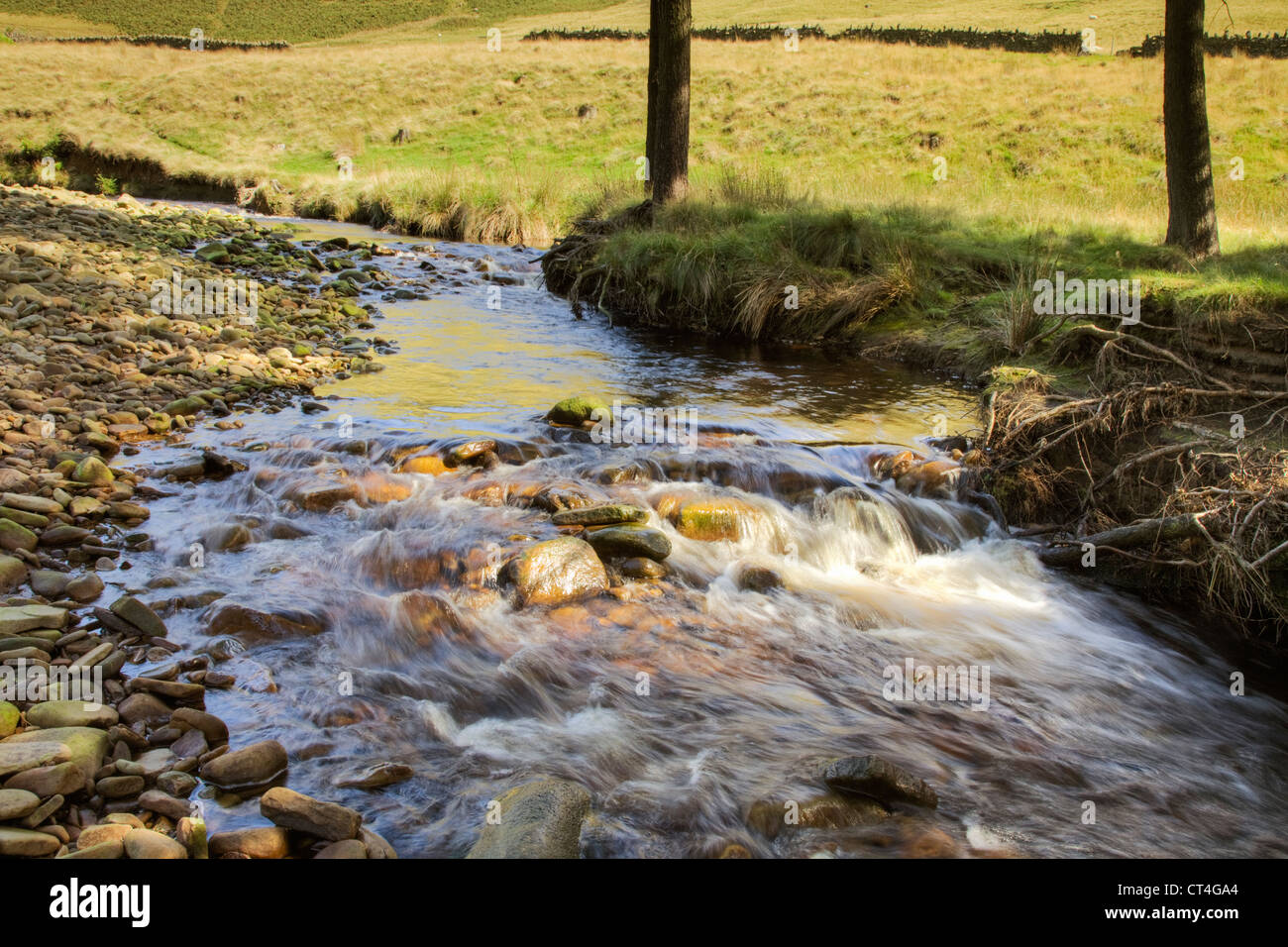River Derwent, NR Howden Reservoir, Peak District, Derbyshire Stock ...
