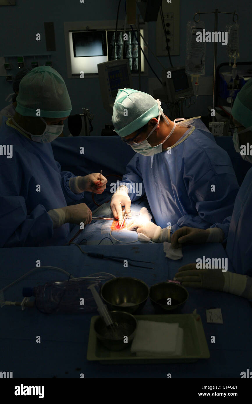 Spinal surgery hi-res stock photography and images - Alamy