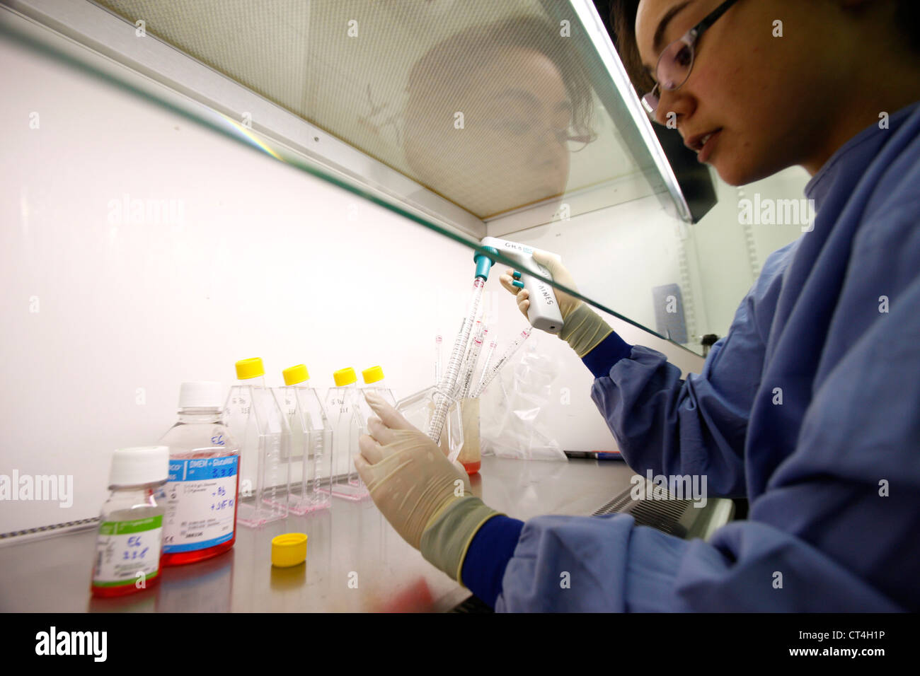 Cell culture hood hi-res stock photography and images - Alamy