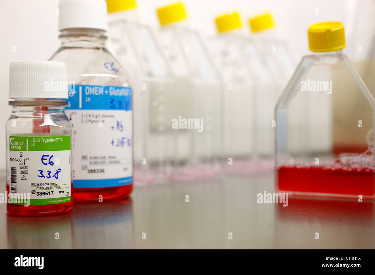 Cultured cell hi-res stock photography and images - Alamy