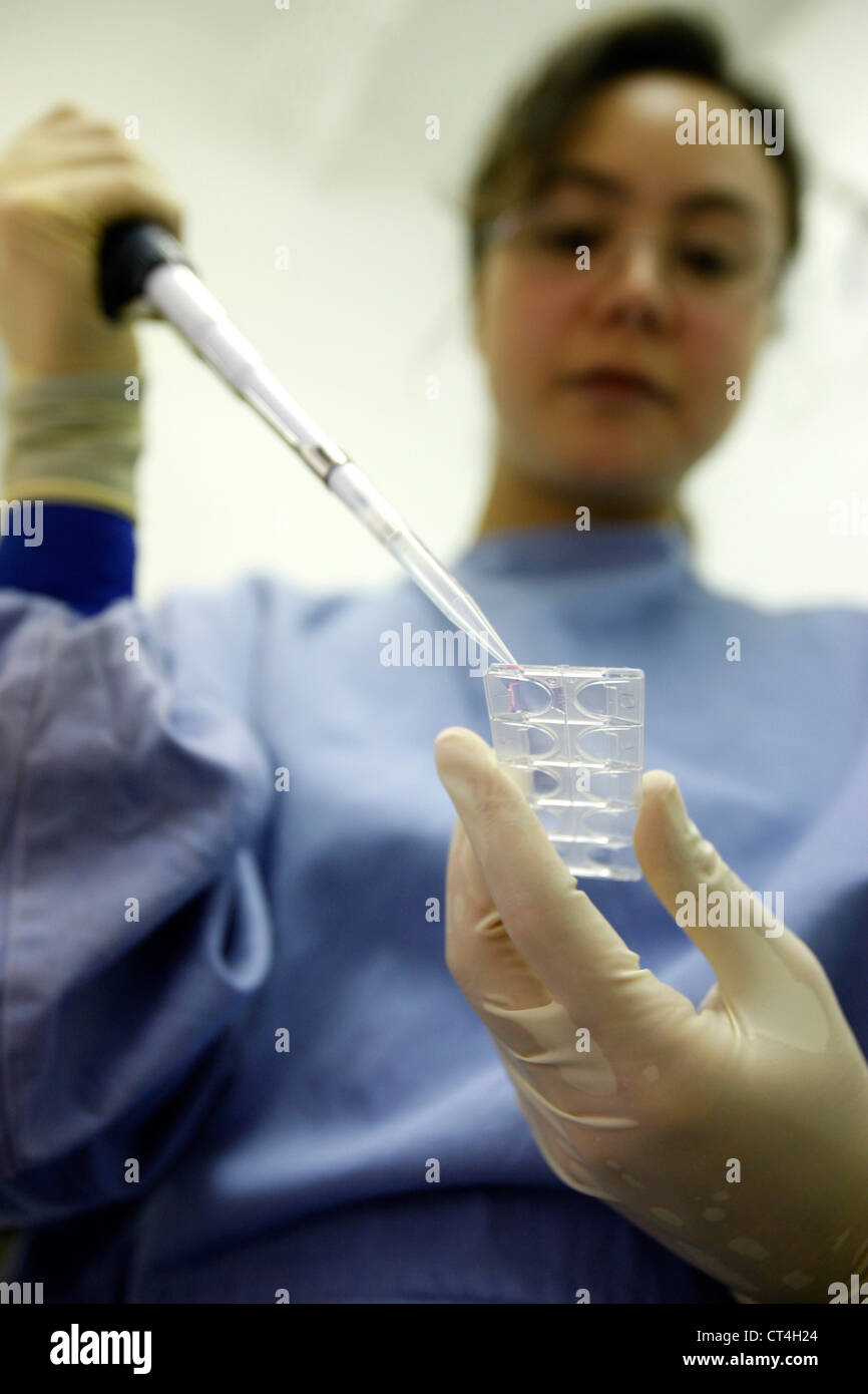 Hemocytometers hi-res stock photography and images - Alamy