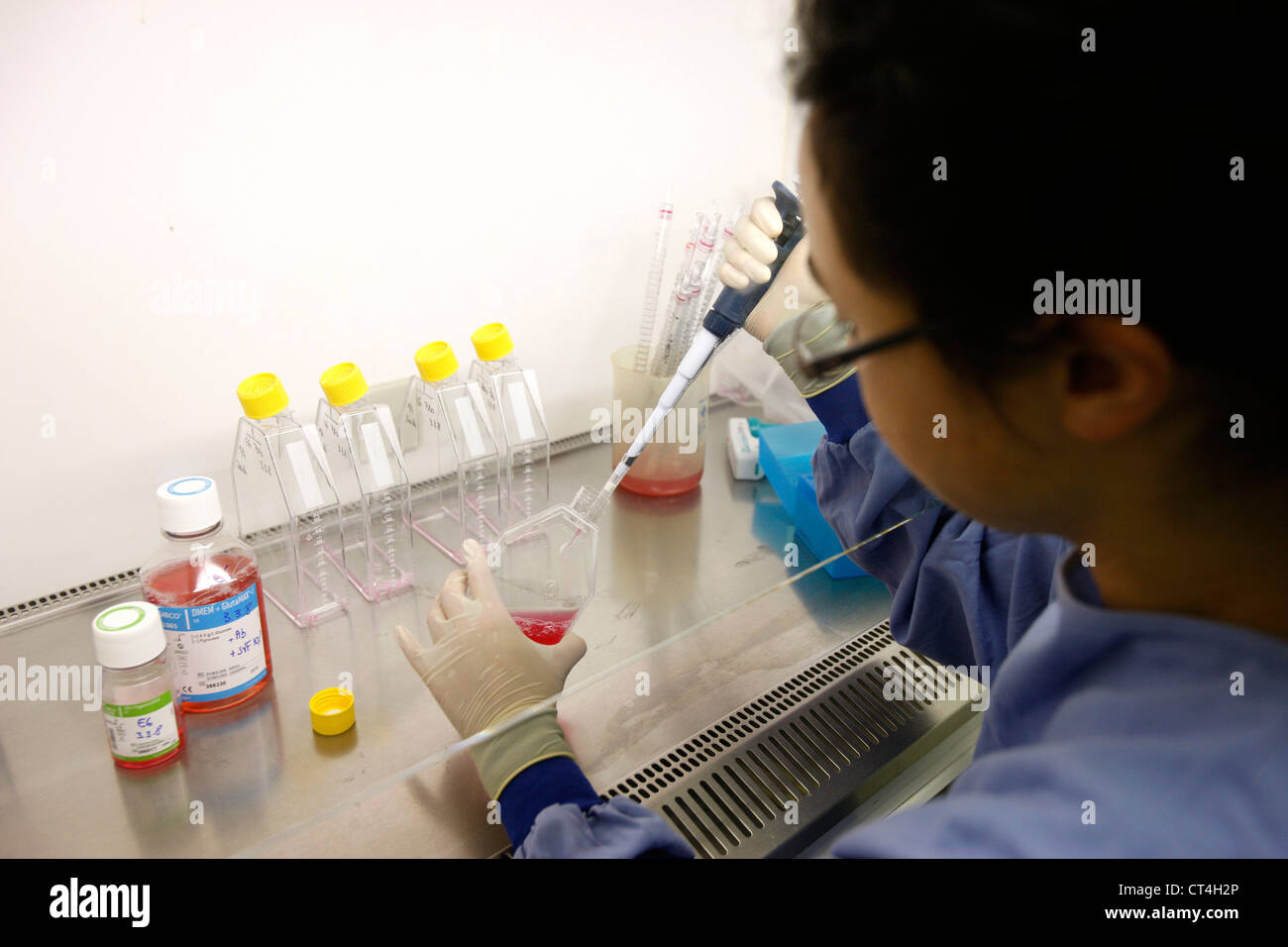 Cell culture hood hi-res stock photography and images - Alamy