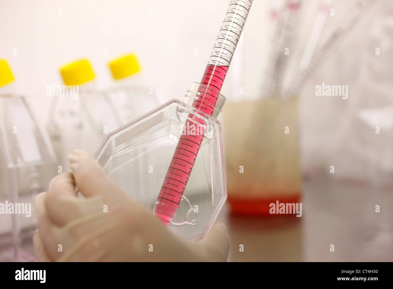 Pasteur Flask Stock Photos & Pasteur Flask Stock Images - Alamy