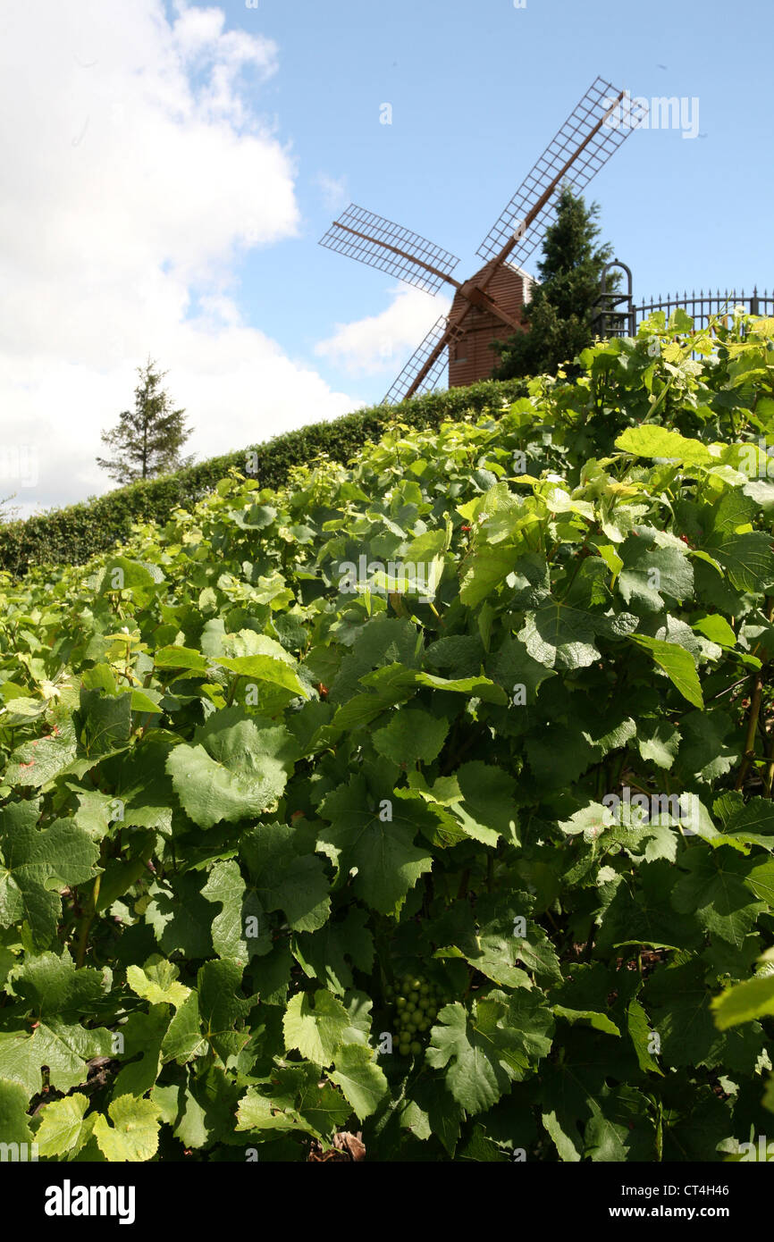 CHAMPAGNE REGION, REIMS Stock Photo - Alamy