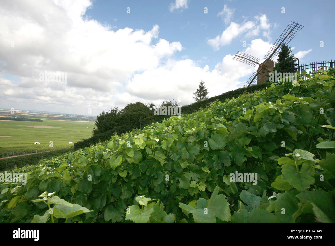 Montagne de reims mountain hi-res stock photography and images - Alamy