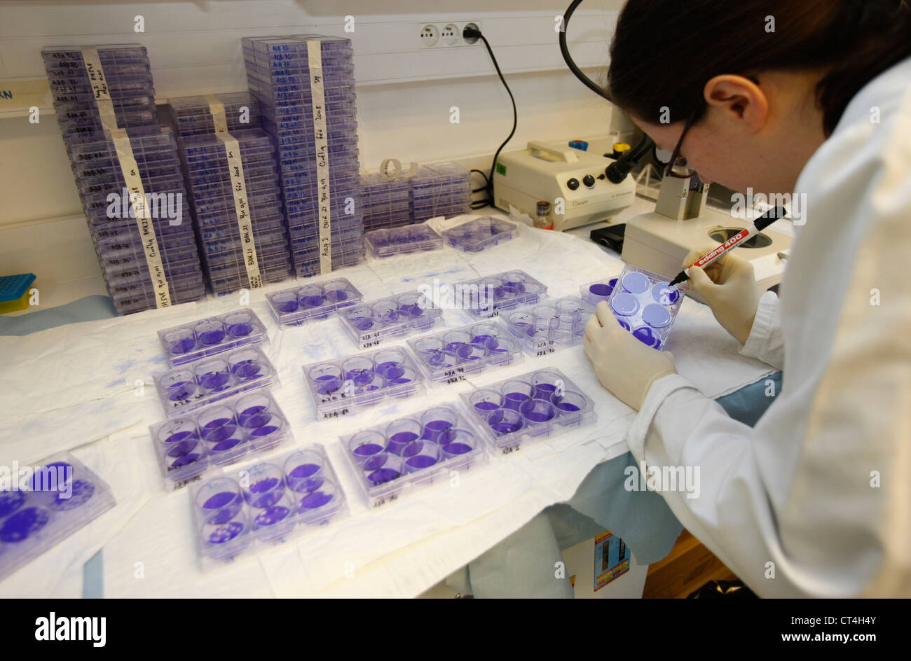 Virology lab hi-res stock photography and images - Alamy
