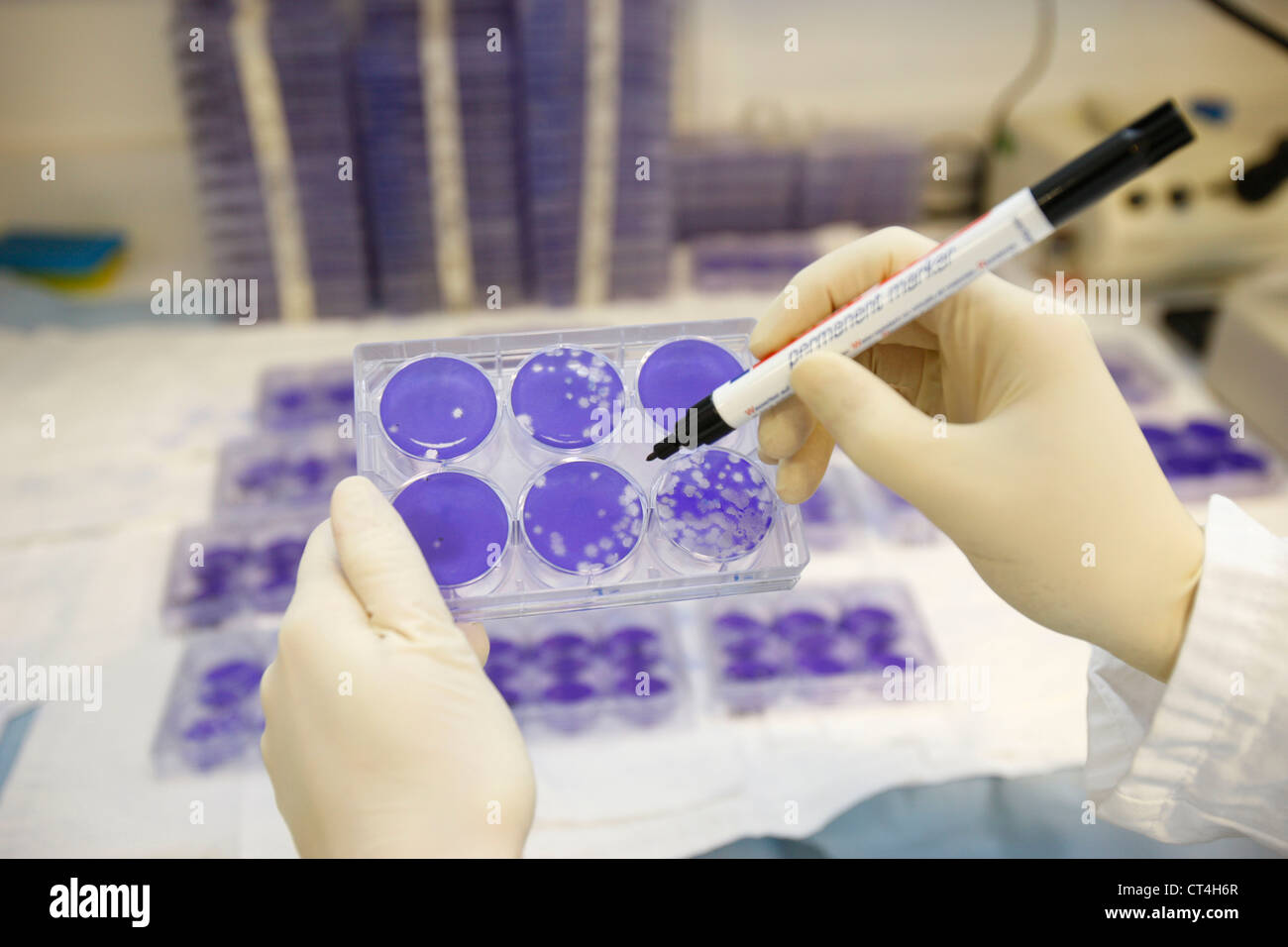 Virology laboratory hi-res stock photography and images - Alamy