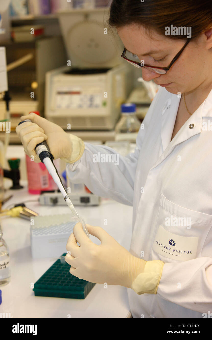 Arbovirosis hi-res stock photography and images - Alamy