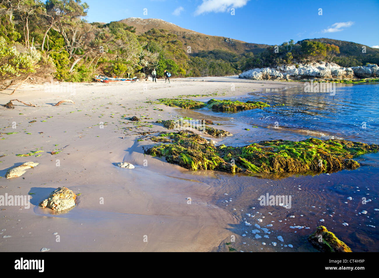 Bramble Cove on Bathurst Harbour in Tasmania's Southwest National Park ...