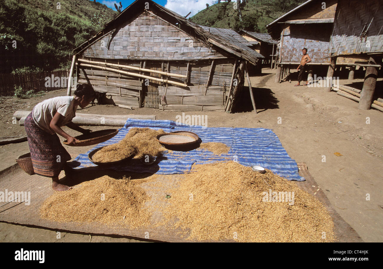 Khamu laos hi-res stock photography and images - Alamy