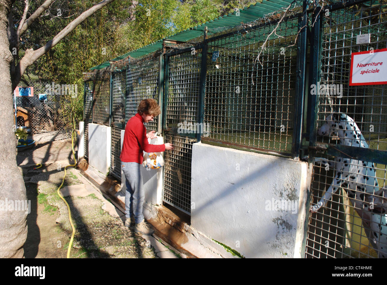 Humans in an animal cage hi-res stock photography and images - Alamy