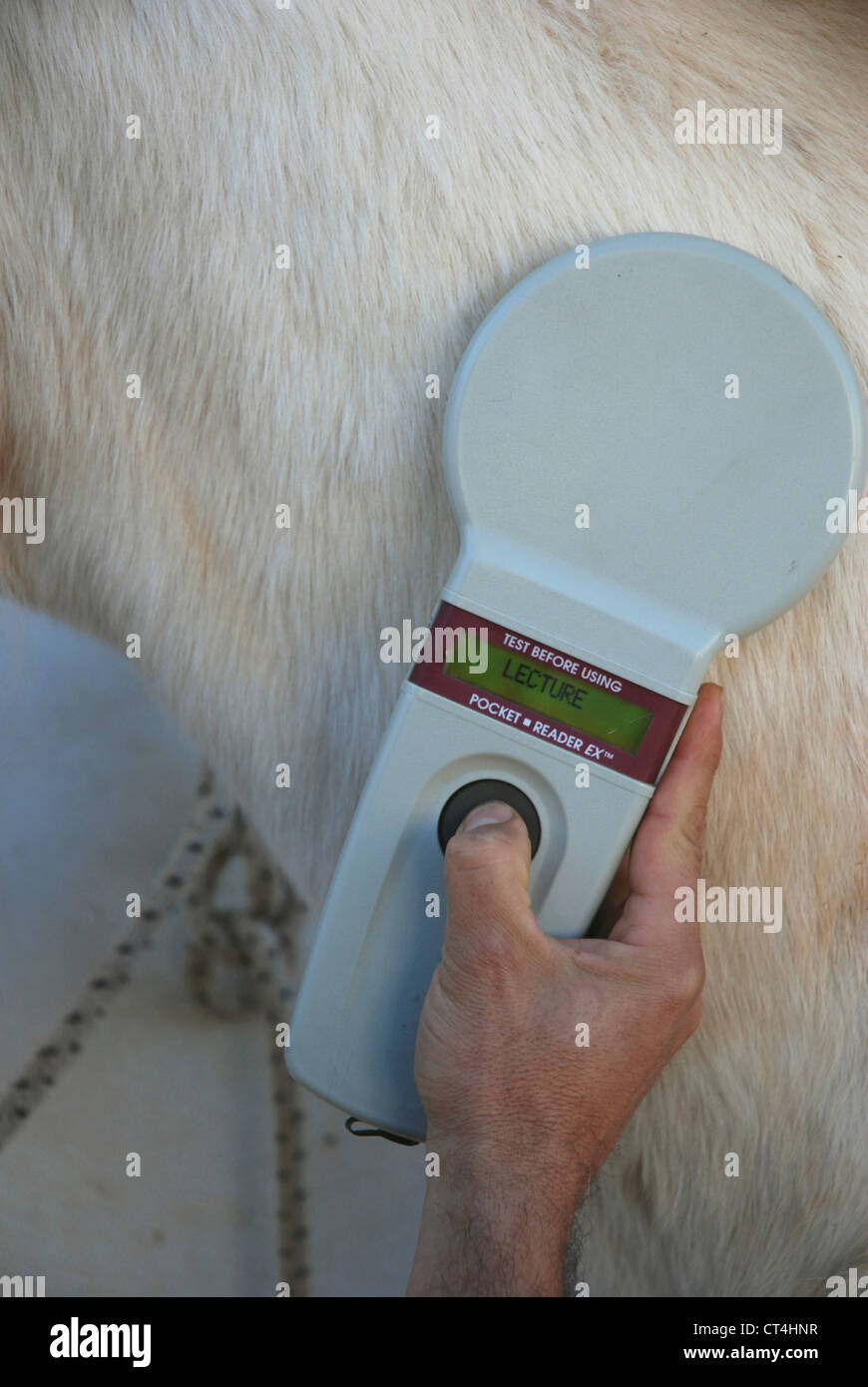 Marking and identification hi-res stock photography and images - Alamy