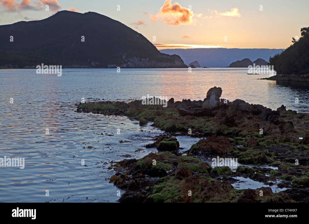 Kayaking at dusk in Bramble Cove in Tasmania's Southwest National Park ...