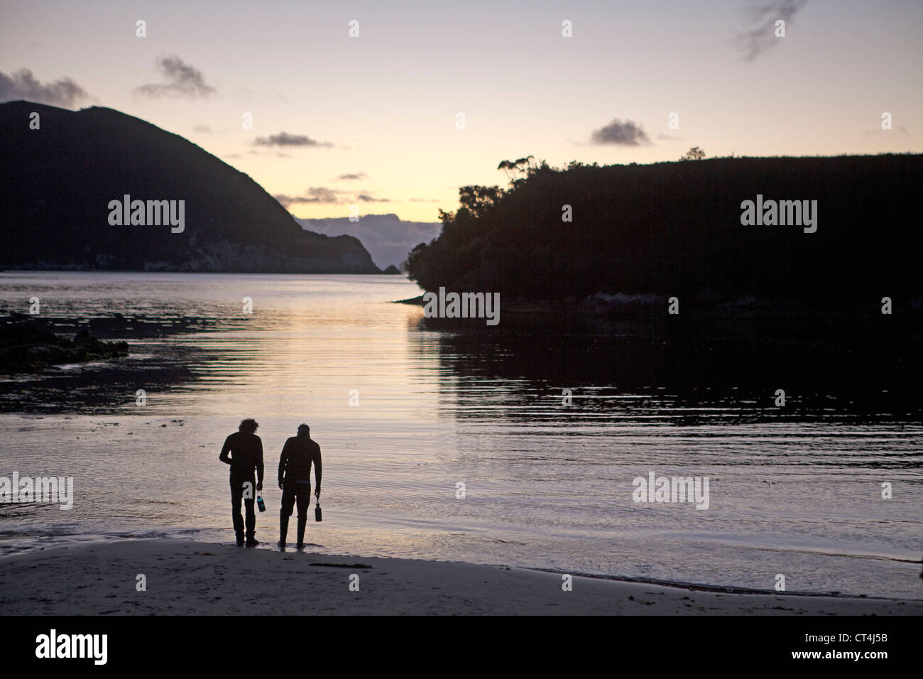 At the water's edge in Bramble Cove in Tasmania's Southwest National ...