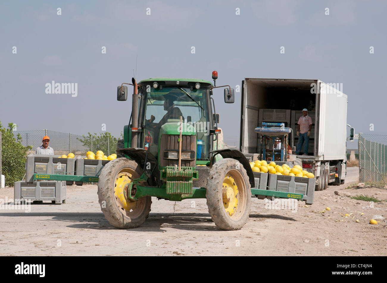 Melon farming in the Murcia district of Southern Spain Tractor carrying ...