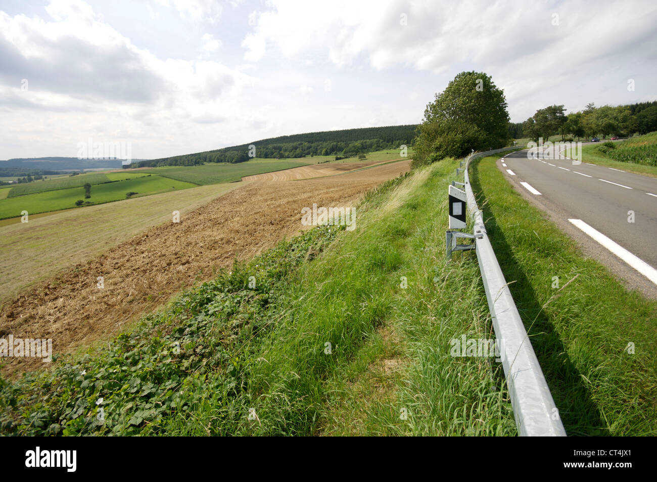 Hedgehogs roads hi-res stock photography and images - Alamy