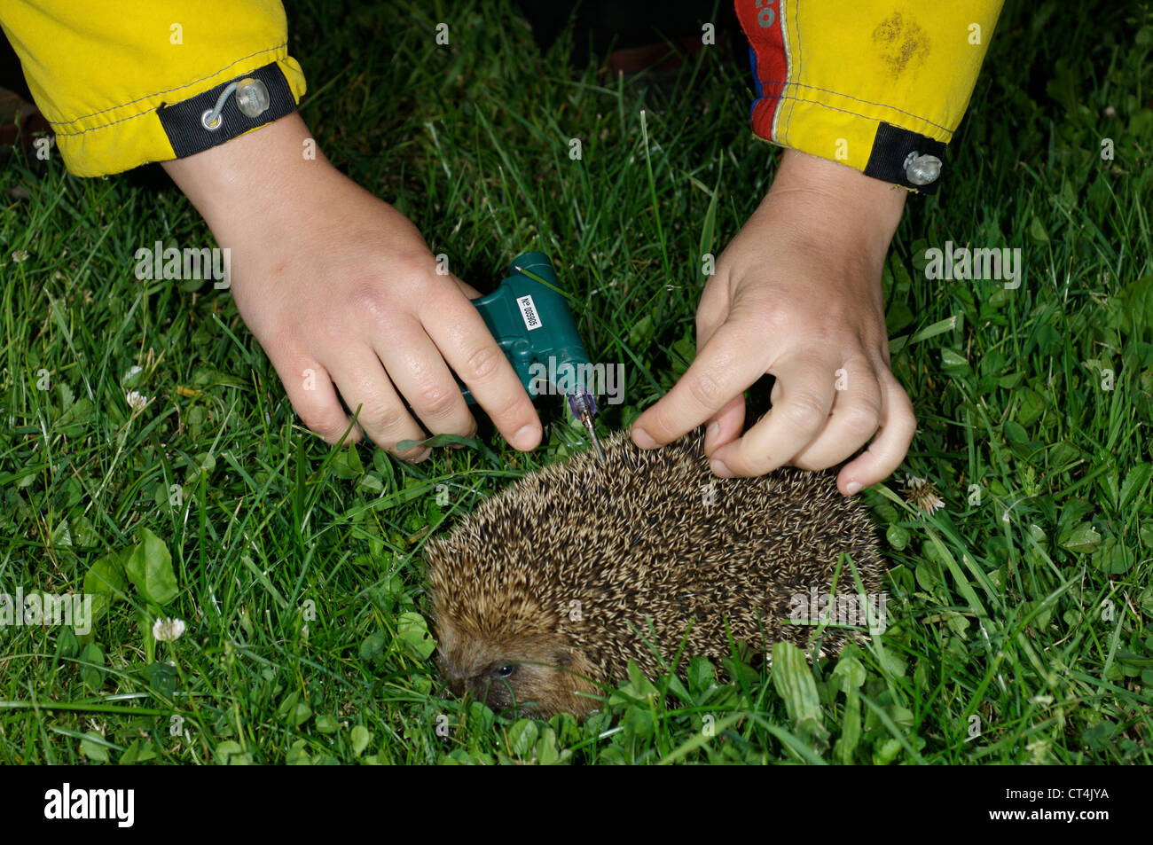Marking and identification hi-res stock photography and images - Alamy