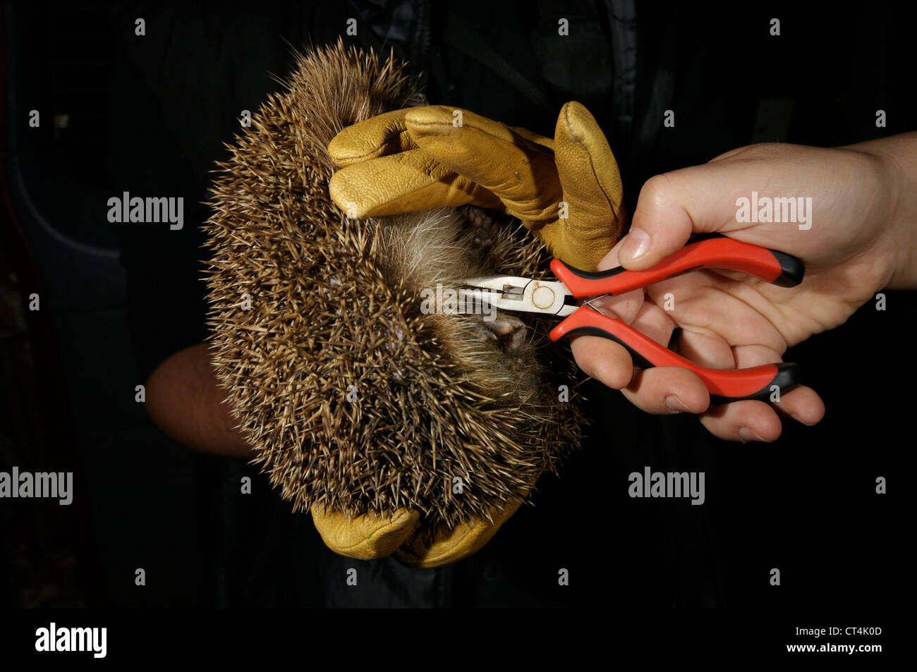 Night sampling hi-res stock photography and images - Alamy