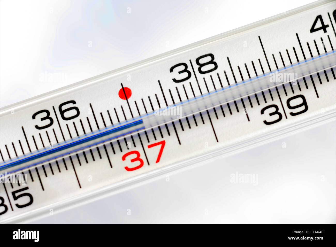 Graduated glass thermometer hi-res stock photography and images - Alamy