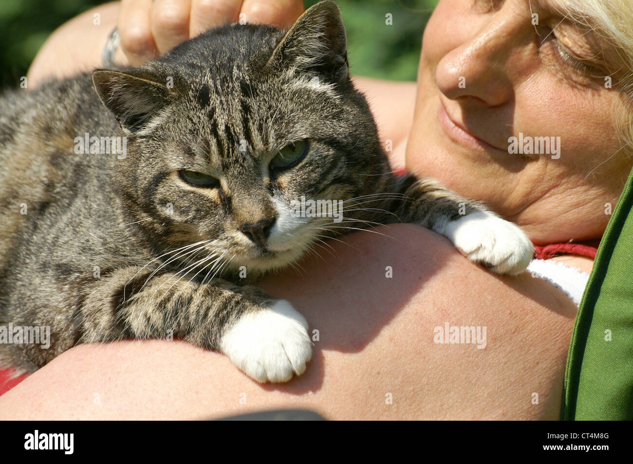Woman tenderly caressing cat hi-res stock photography and images - Alamy